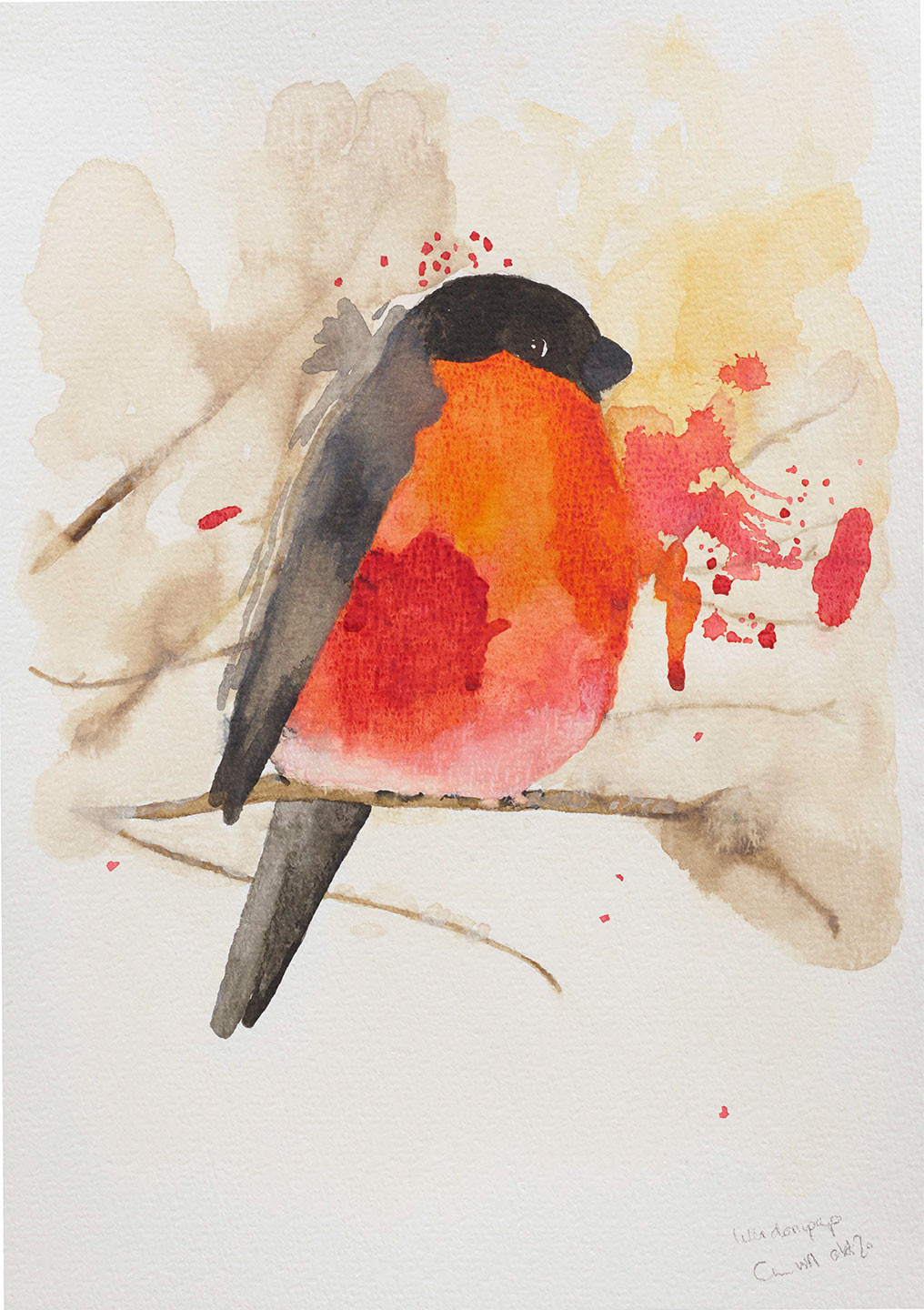 Dompap no. 1 - Illux.no